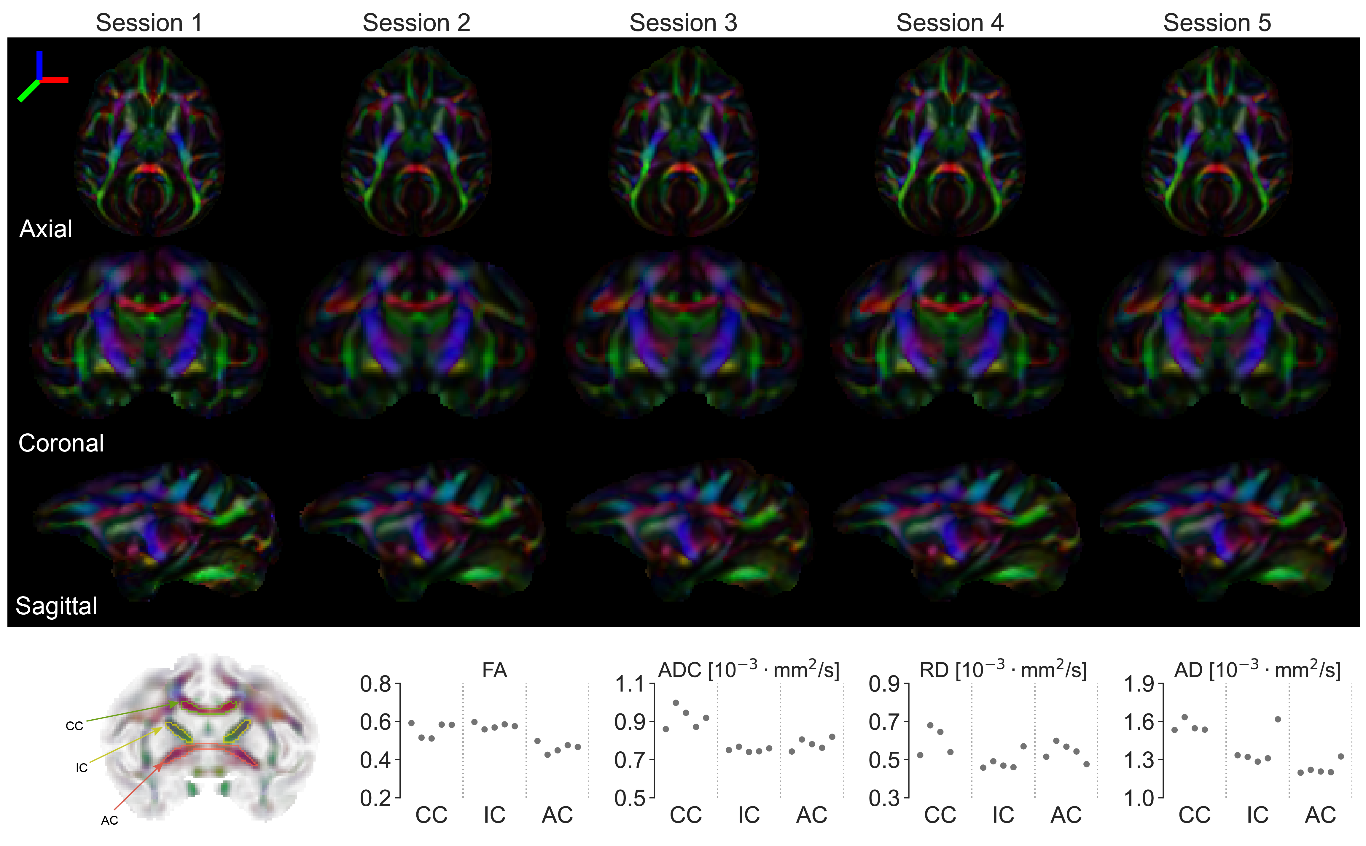 Multi-contrast MR imaging of awake macaque monkeys