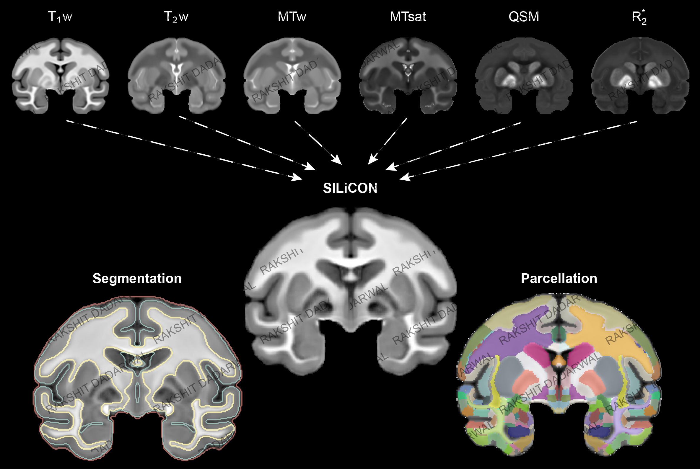 SILiCON (Synthetic Images via a Linearly-weighted combination of ...